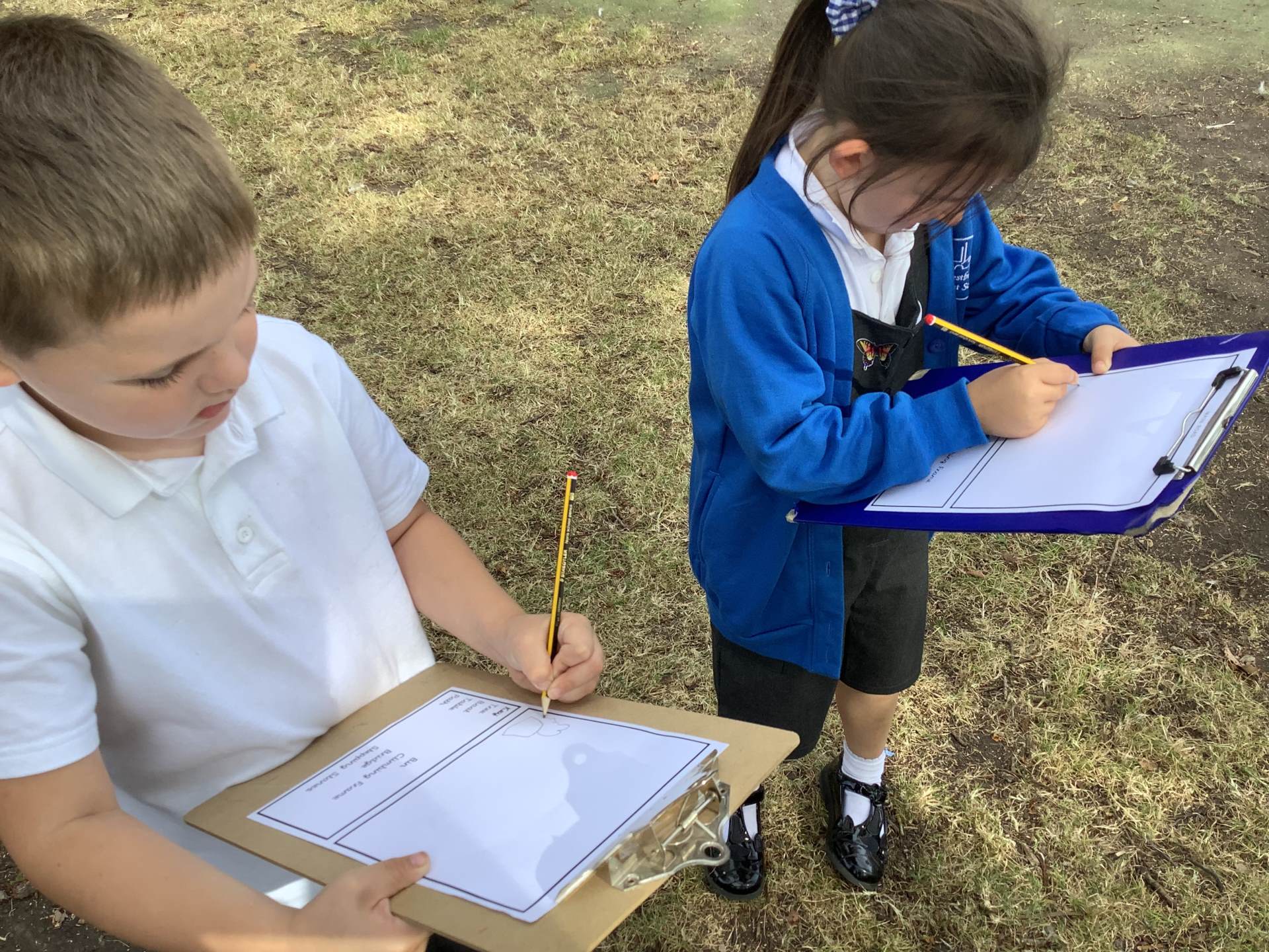 Westbury Infant School and Resource Base - Glow Worms Maths and Mapping!