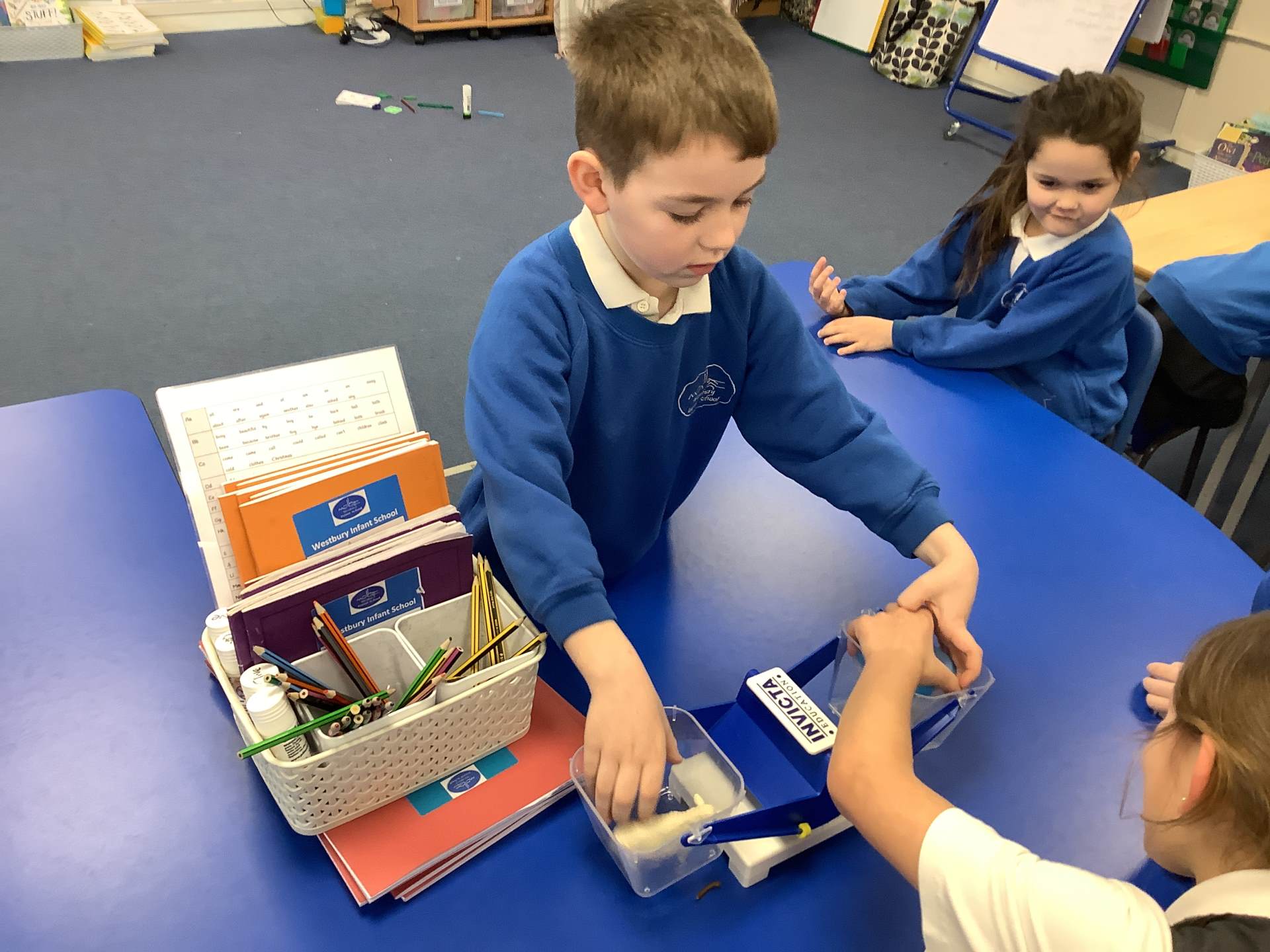 Westbury Infant School and Resource Base - Music and Art