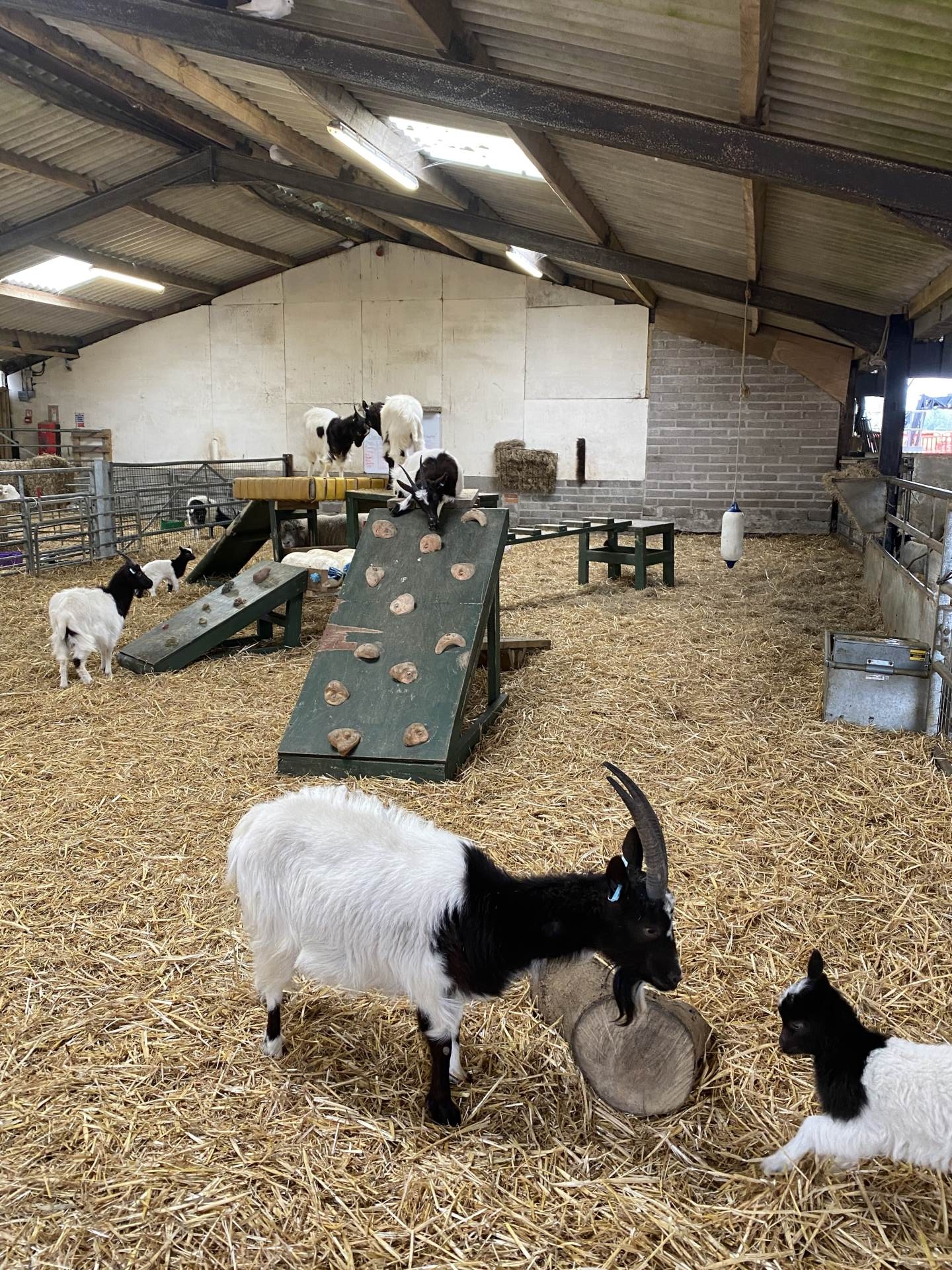 Westbury Infant School and Resource Base - A Close encounter with some ...