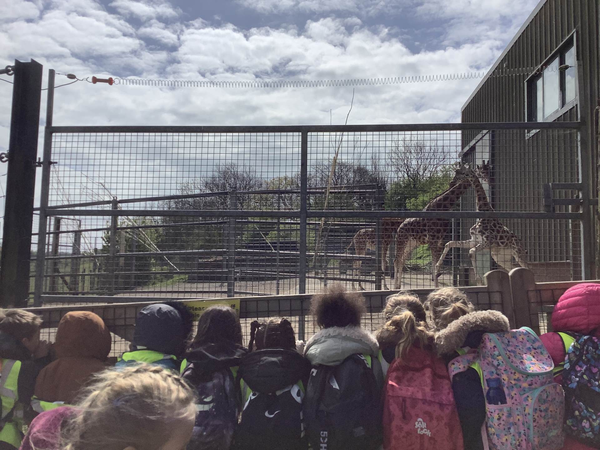 Westbury Infant School and Resource Base - A Close encounter with some ...