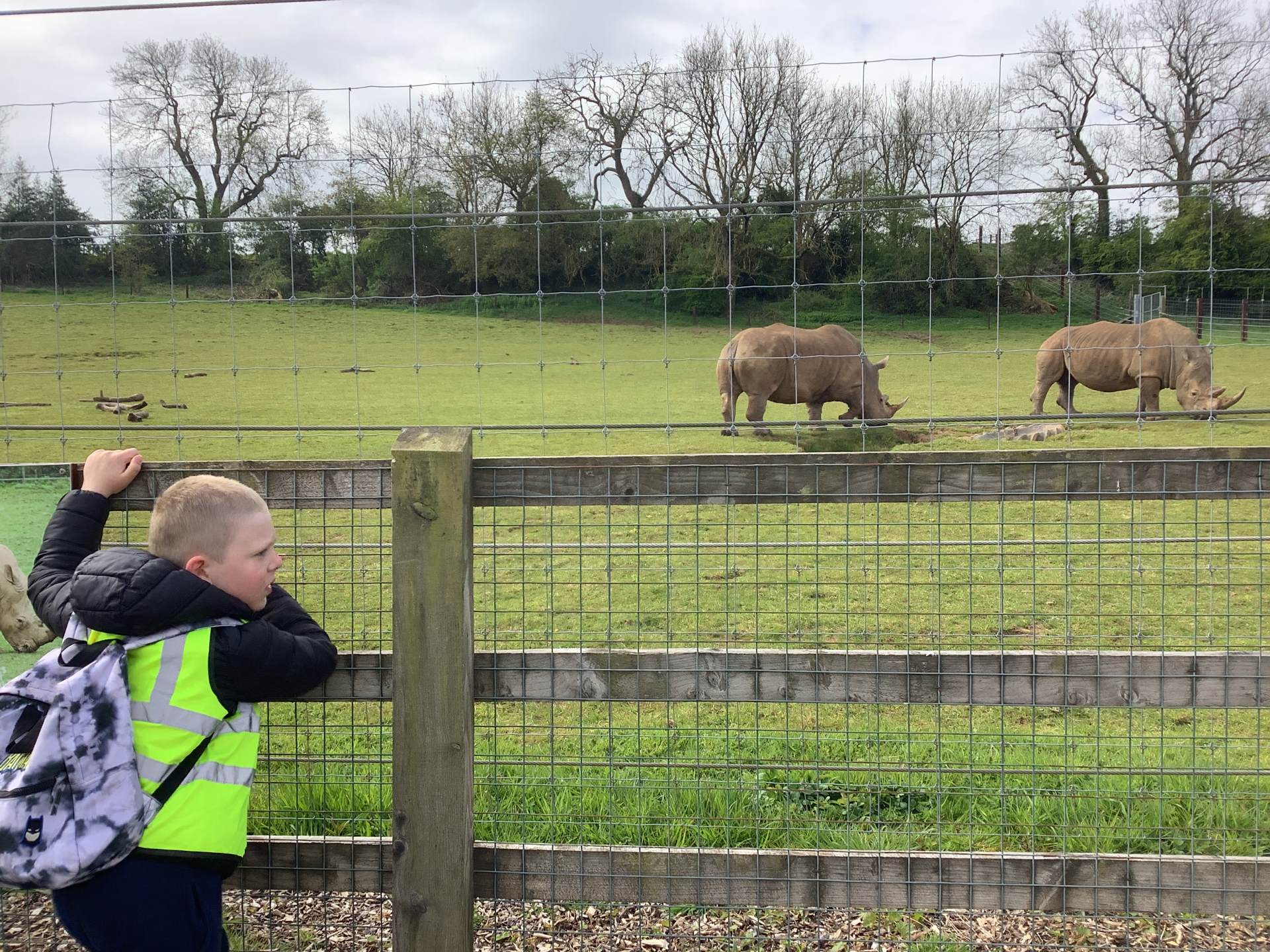Westbury Infant School and Resource Base - A Close encounter with some ...