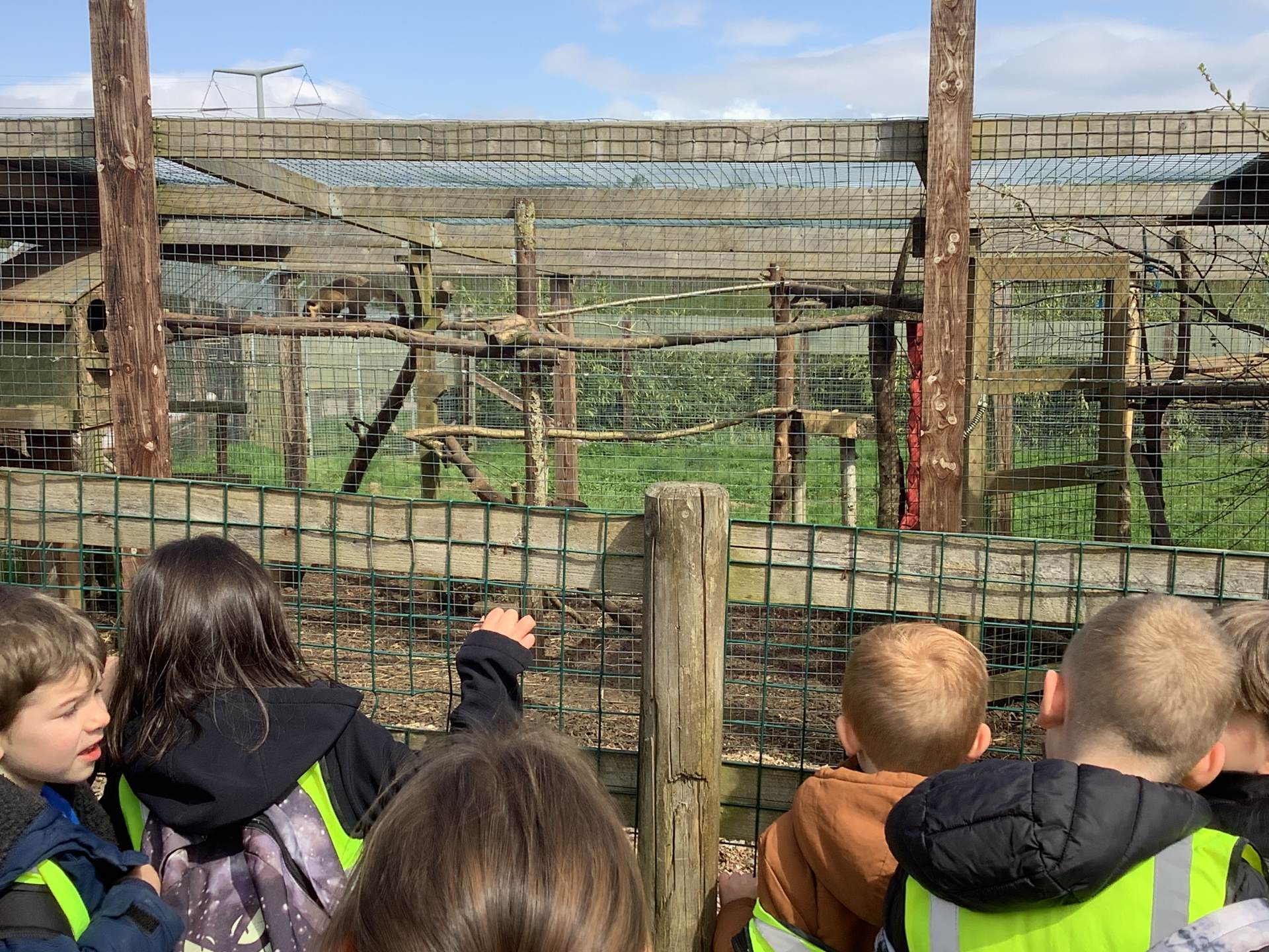 Westbury Infant School and Resource Base - A Close encounter with some ...