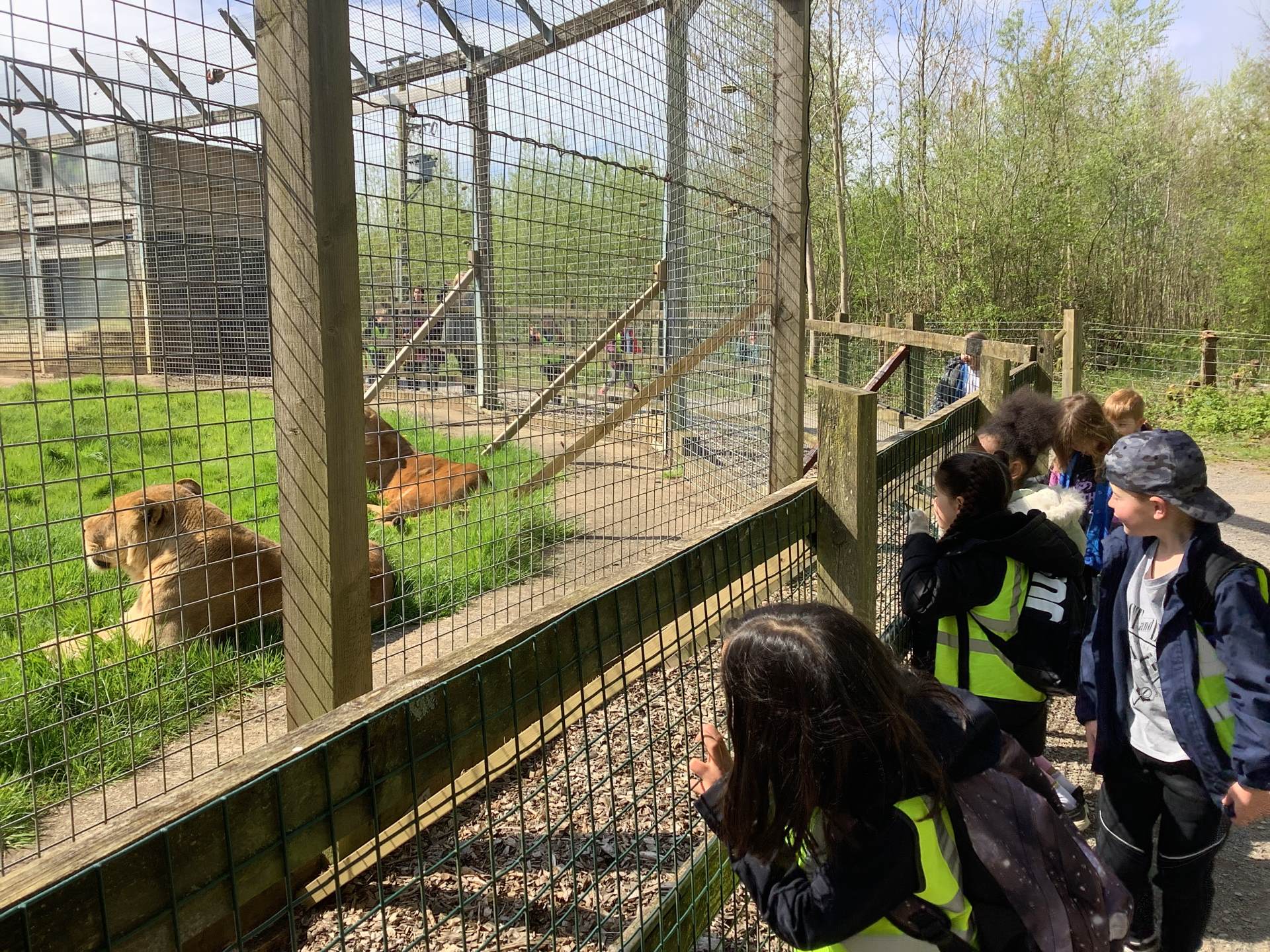 Westbury Infant School and Resource Base - A Close encounter with some ...