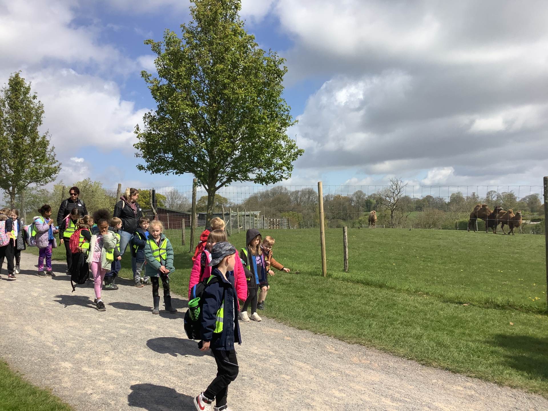 Westbury Infant School and Resource Base - A Close encounter with some ...